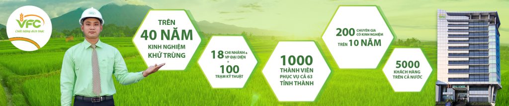 Home - Vietnam Fumigation Joint Stock Company